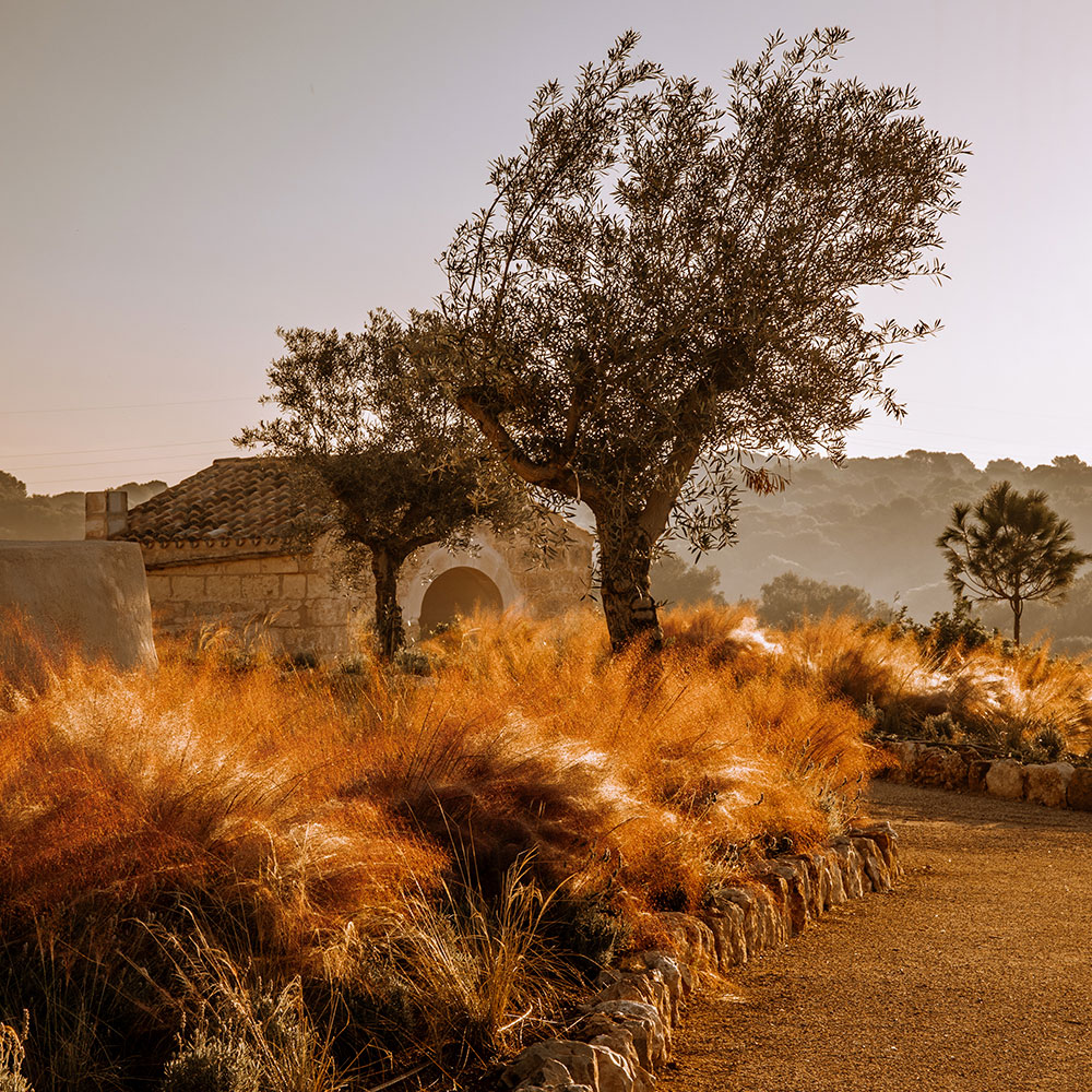 Son Blanc Menorca | Discover